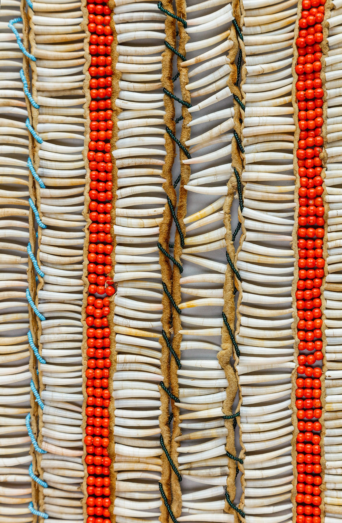 Rare Dentalium Shell Regalia, c. 1850, Attributed to the Chinook Cultu ...